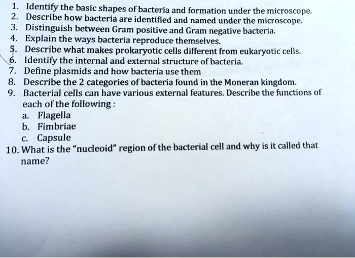 identify the basic shapes of bacteria and formation under the ...