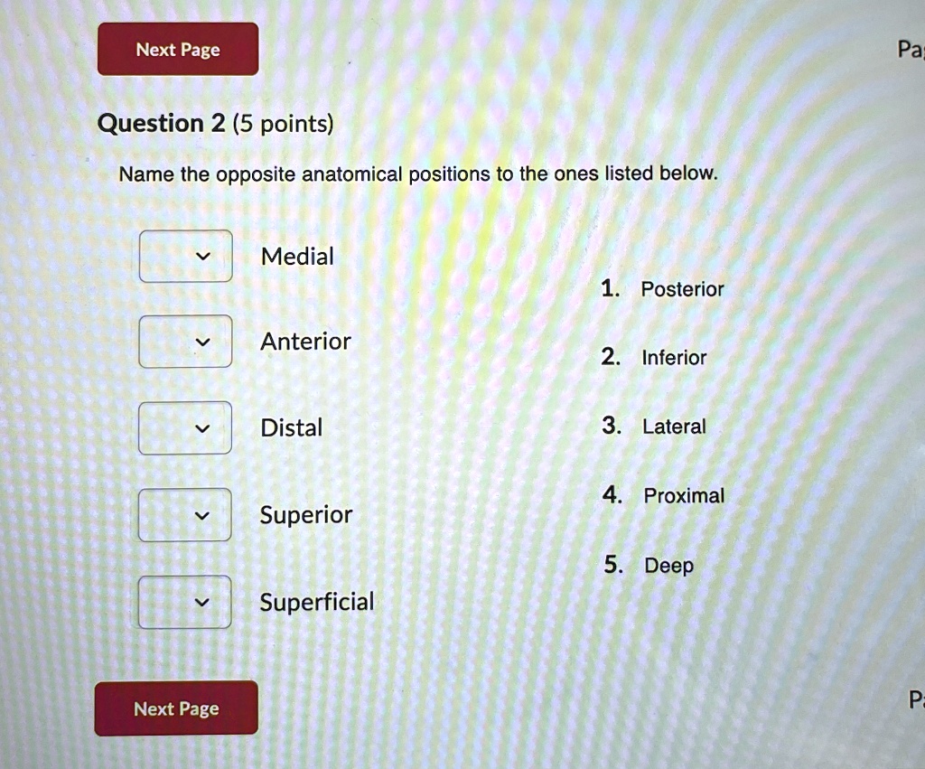 question 2 5 points name the opposite anatomical positions to the ones ...