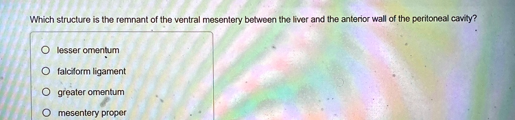 which structure is the remnant of the ventral mesentery between the ...