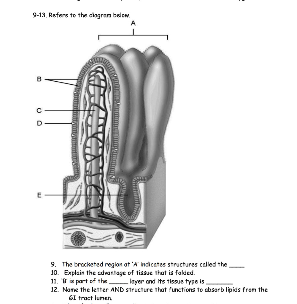 SOLVED: Refer to the diagram below. 9-13. Refers to the diagram below ...