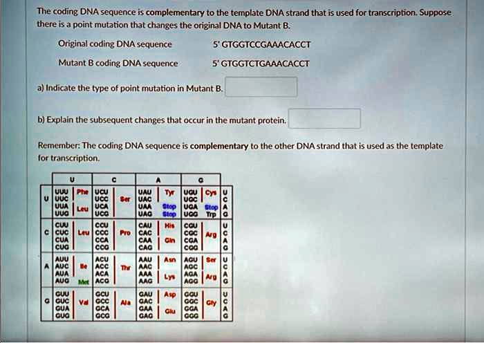 Solved The Coding Dna Sequence Is Complementary To The Template Dna 8235