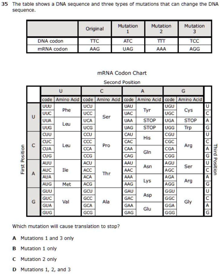SOLVED: 'PLEASE HELP MEH!!! GOD BLESS YOU AND THANKS 35 The table shows ...