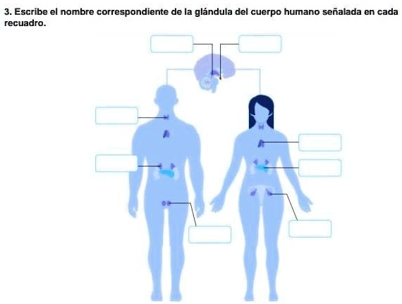 SOLVED: ayudaaaaaa :'))))))) Escribe el nombre correspondiente de la ... SOLVED: ayudaaaaaa :'))))))) Escribe el nombre correspondiente de la ...
