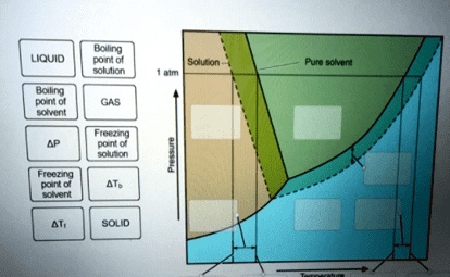 SOLVED: 'Label the phase diagram of a pure solvent and a solution.