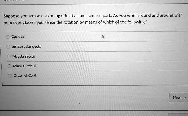 Suppose you are on a spinning ride at an amusement park. As you whirl ...