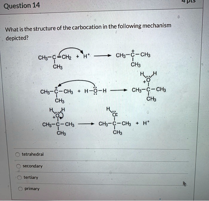 SOLVED:TplJ Question 14 What is the structure of the carbocation in the ...