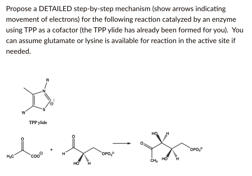 SOLVED: Propose a DETAILED step-by-step mechanism (show arrows ...