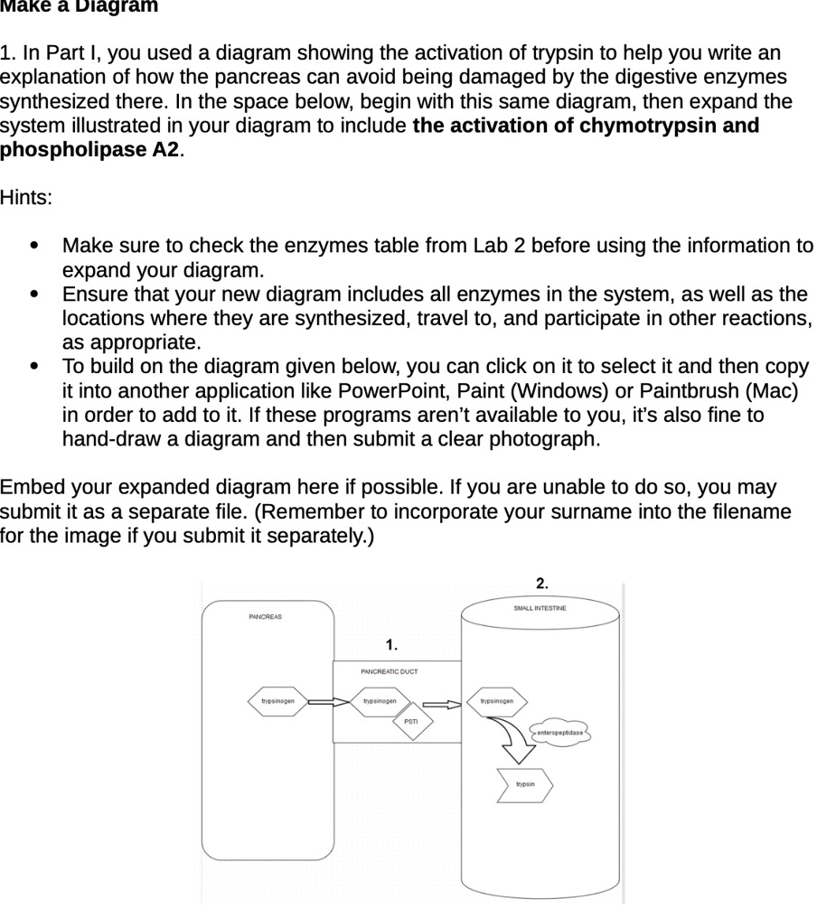 Make a Diagram 1. In Part I, you used a diagram showing the activation ...