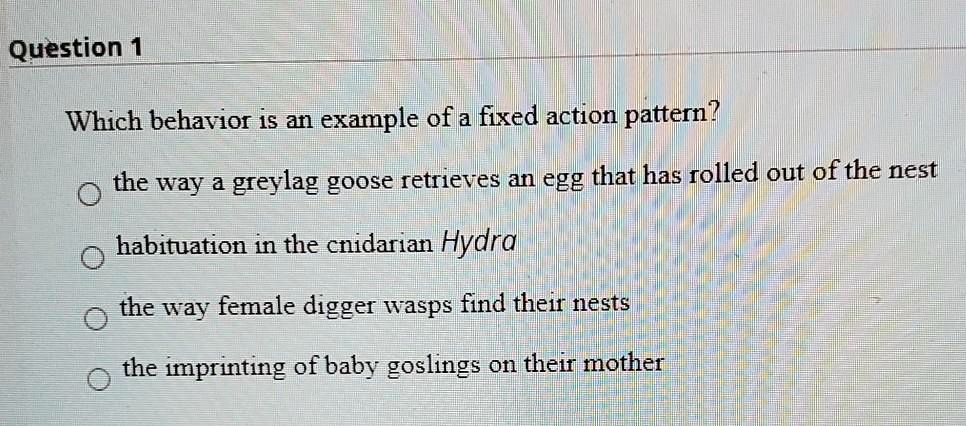 Question 1 Which behavior is an example of a fixed action pattern? the way a greylag goose ...