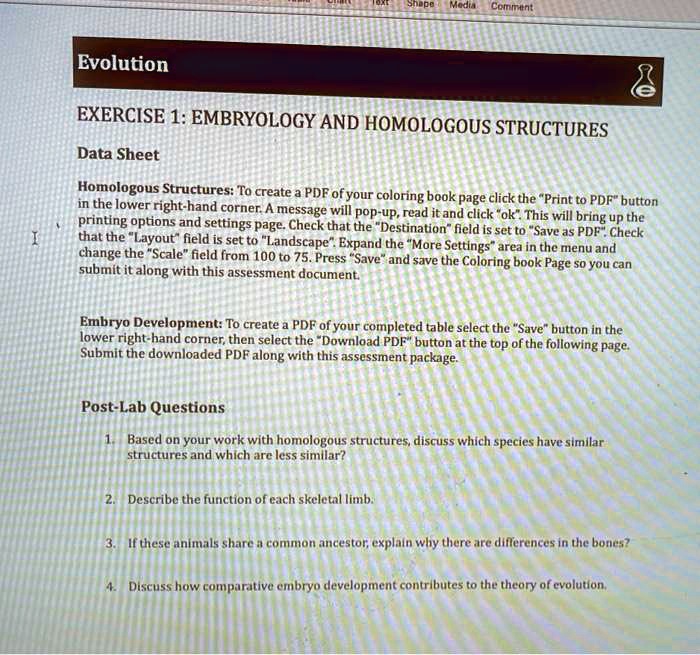 Quick Lab Build And Compare Age Structure Diagrams Answers A