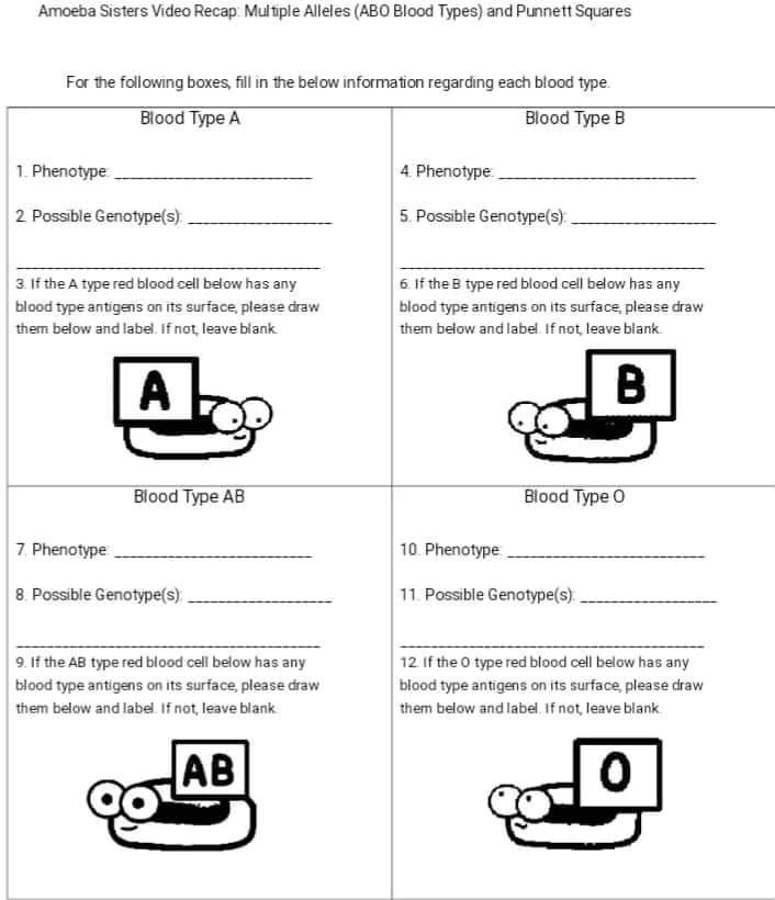 Amoeba Sisters Video Recap: Multiple Alleles (ABO Blood Types) and ...