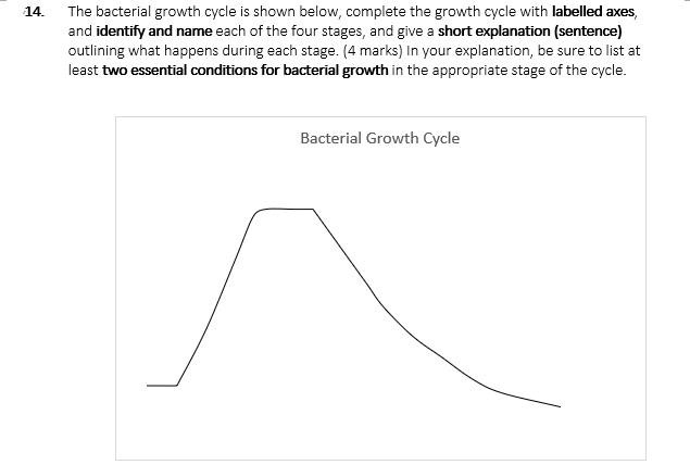 the bacterial growth cycle shown oelow complete the growth cycle with ...