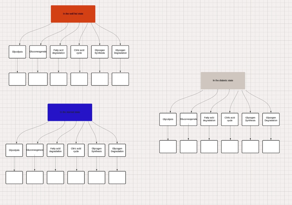 in the diabetic state well fed and starved state concept map in the ...