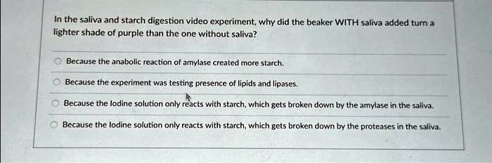 In the saliva and starch digestion video experiment, why did the beaker ...