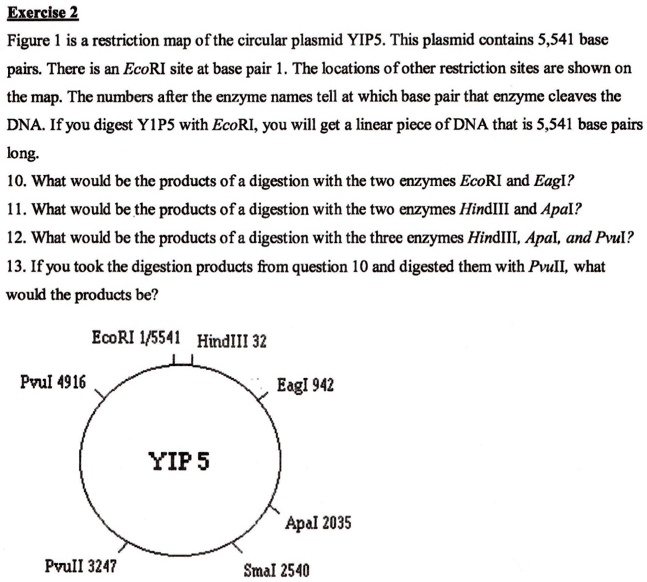SOLVED: Exercise2 Figure 1 is restriction map of the circular plasmid YIPS. This plasmid ...