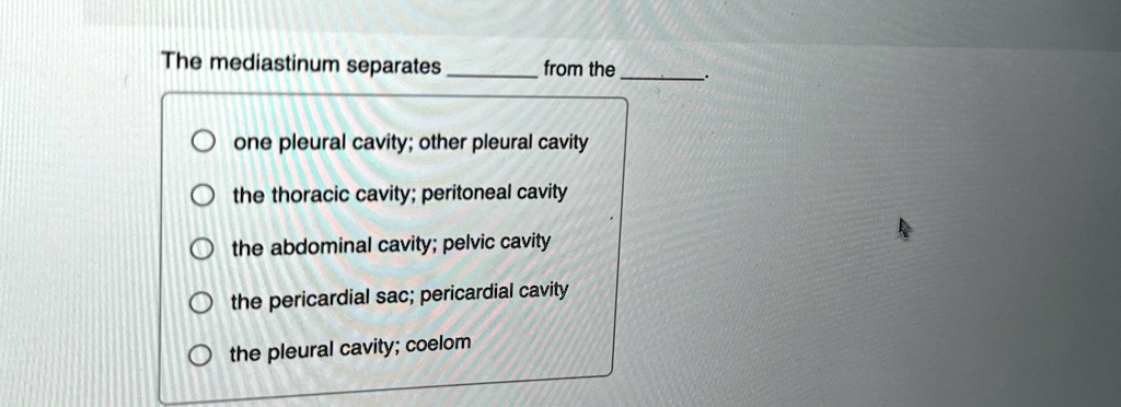 The mediastinum separates from the . ? one pleural cavity; other ...