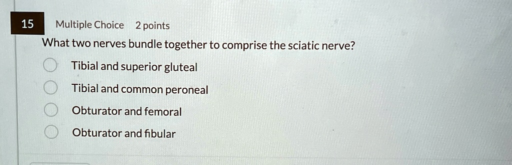 15 multiple choice 2 points what two nerves bundle together to comprise the sciatic nerve tibial ...