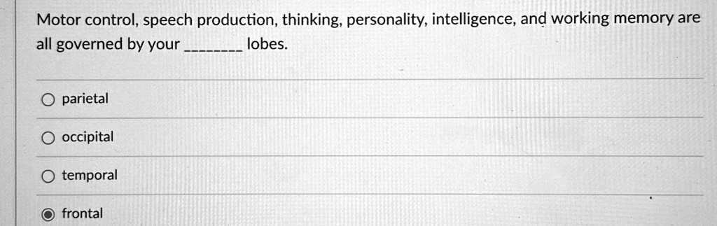 Motor control, speech production, thinking, personality, intelligence ...