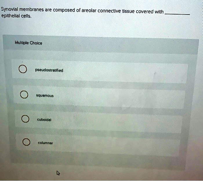 Synovial membranes are composed of areolar connective tissue covered ...