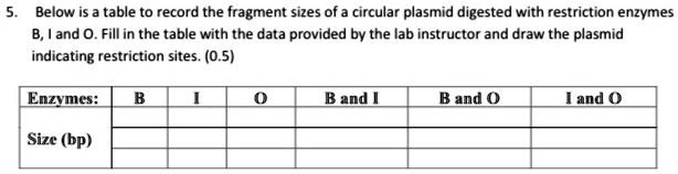 SOLVED: Below is a table to record the fragment sizes of a circular plasmid digested with ...