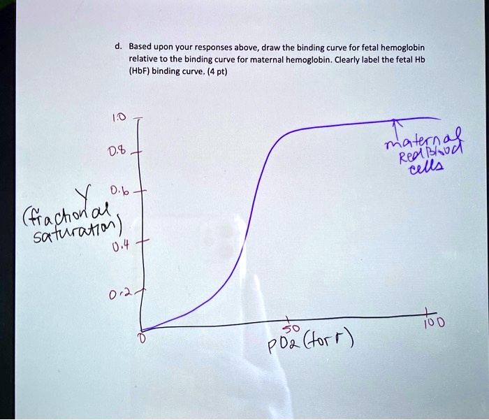 based upon vour responses above draw the binding curve for fetal ...