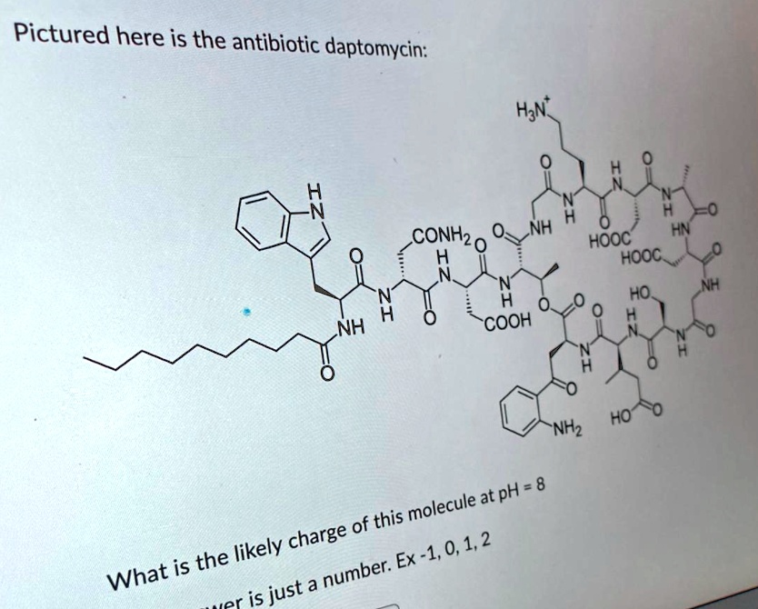 SOLVED: Pictured here is the antibiotic daptomycin: H2N NH2 HOOC HN ...