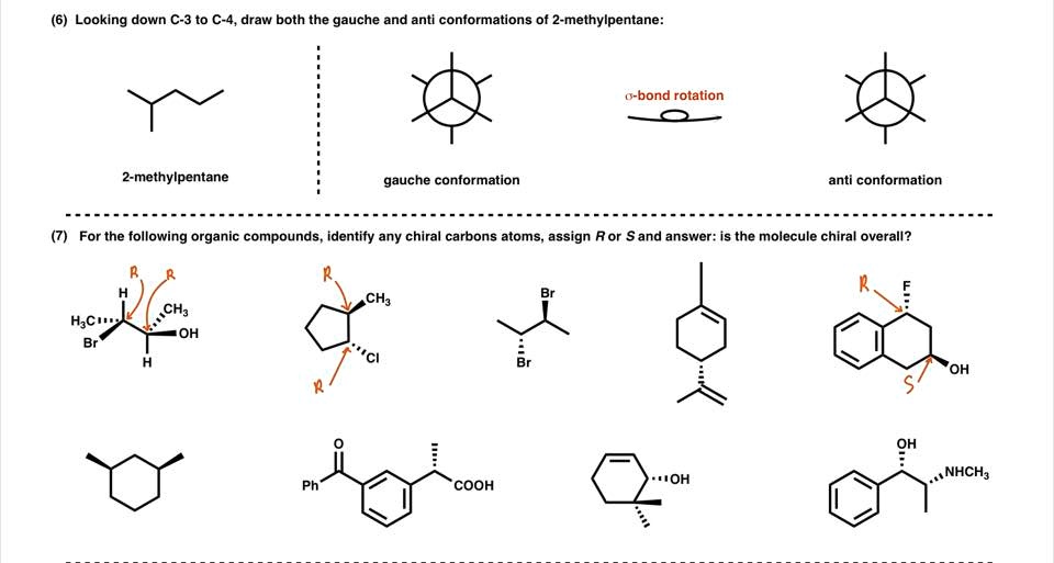 looking down c 3 to c 4 draw both the gauche and anti conformations of ...