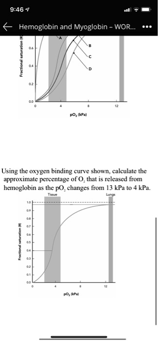Hemoglobin and Myoglobin Work PO2 (kPa) Using the oxygen binding curve ...