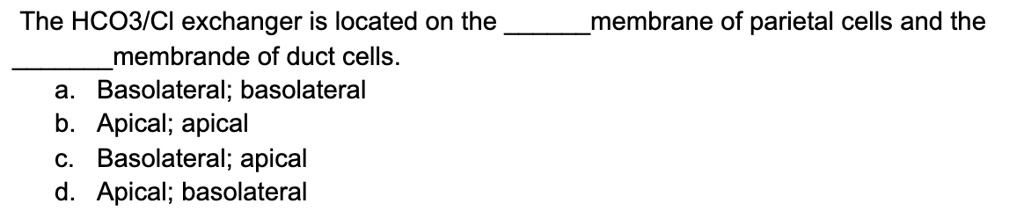 SOLVED: The HCO3/Cl exchanger is located on the membrane of duct cells ...