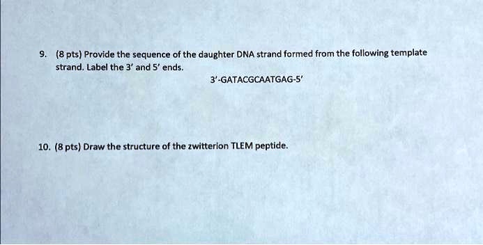 9. (8 pts) Provide the sequence of the daughter DNA strand formed from ...