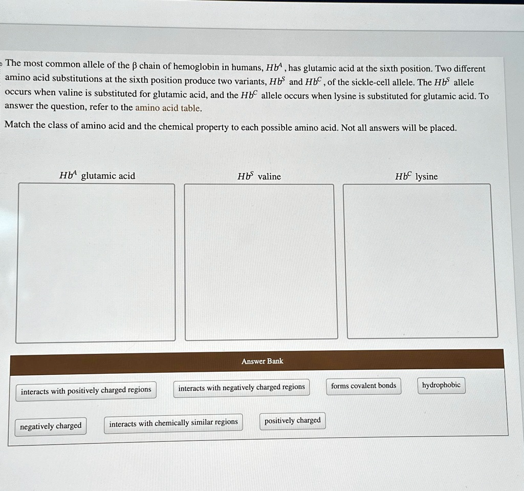 SOLVED: The most common allele of the eta chain of hemoglobin in humans ...