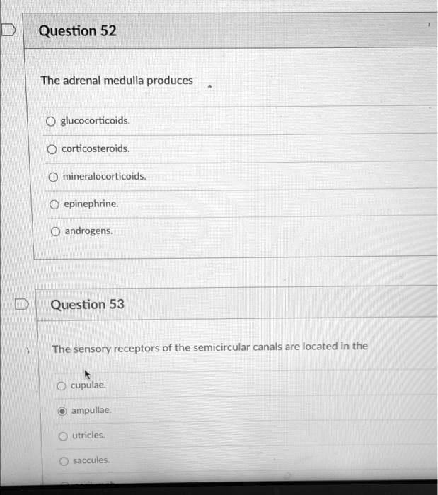 Question 52 The adrenal medulla produces O glucocorticoids. O ...