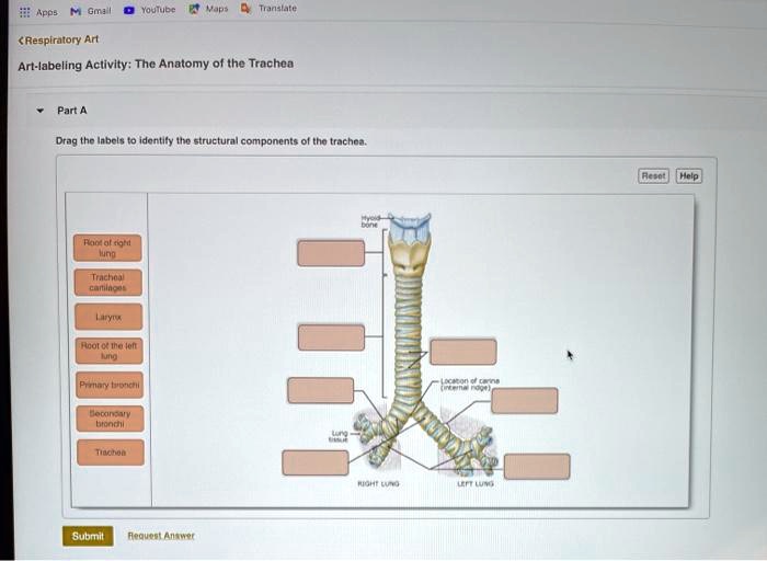 Apps M Gmail YouTube Maps Translate