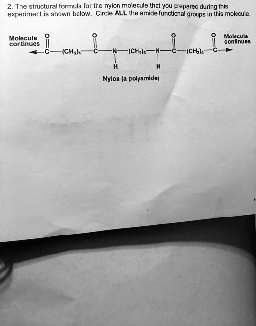 2. The structural formula for the nylon molecule that you prepared ...