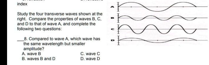 'Study the four transverse waves shown at the right. Compare the ...