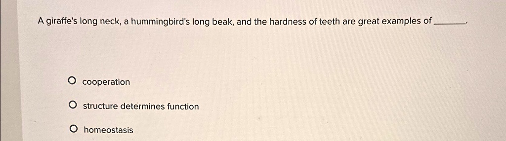 SOLVED: A giraffe's long neck, a hummingbird's long beak, and the ...