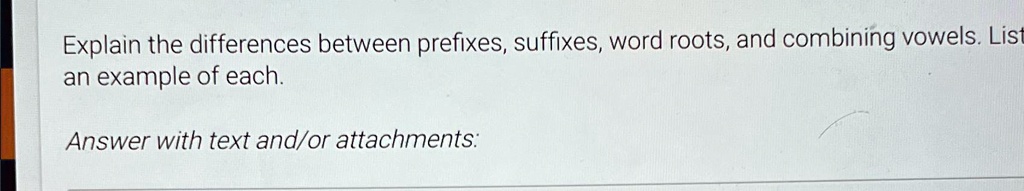 Explain the differences between prefixes, suffixes, word roots, and ...