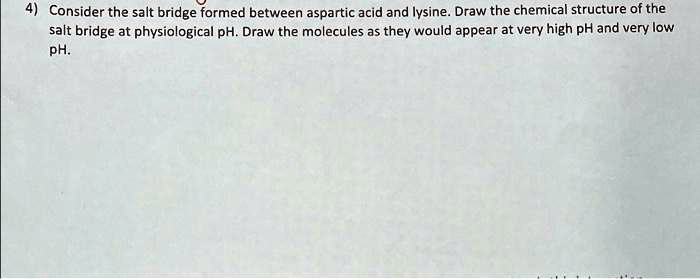 consider the salt bridge formed between aspartic acid and lysine draw ...