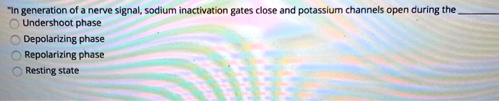 SOLVED: generation of = nerve signal, sodium inactivation gates close ...