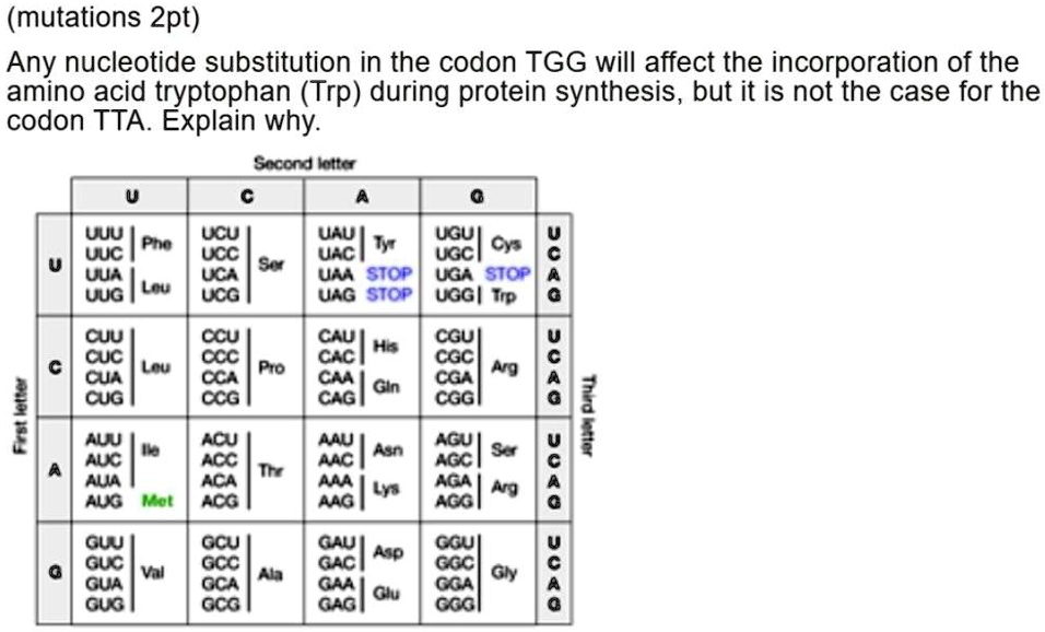 SOLVED: Mutations: Any nucleotide substitution in the codon TGG will ...
