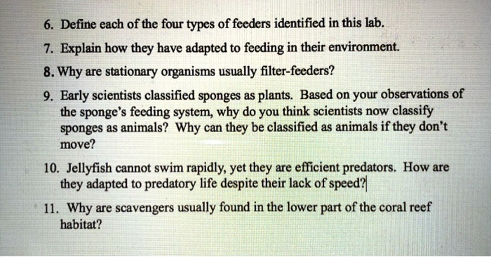 Define each of the four types of feeders identified in this lab ...