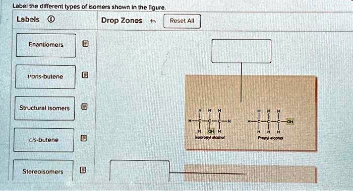 Label the different types of isomers shown in the figure. Labels ...