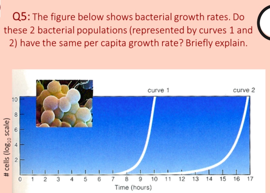 Q5: The figure below shows bacterial growth rates. Do these 2 bacterial ...