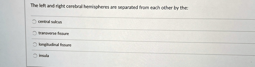 The left and right cerebral hemispheres are separated from each other ...