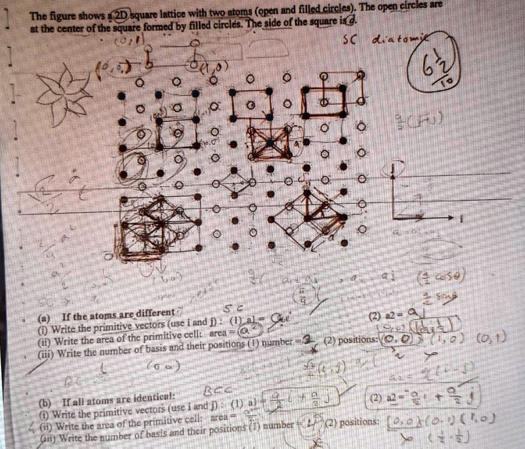 the figure shows a 2d square lattice with two atoms open and filled ...