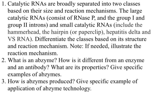 1. Catalytic RNAs are broadly separated into two classes based on their ...