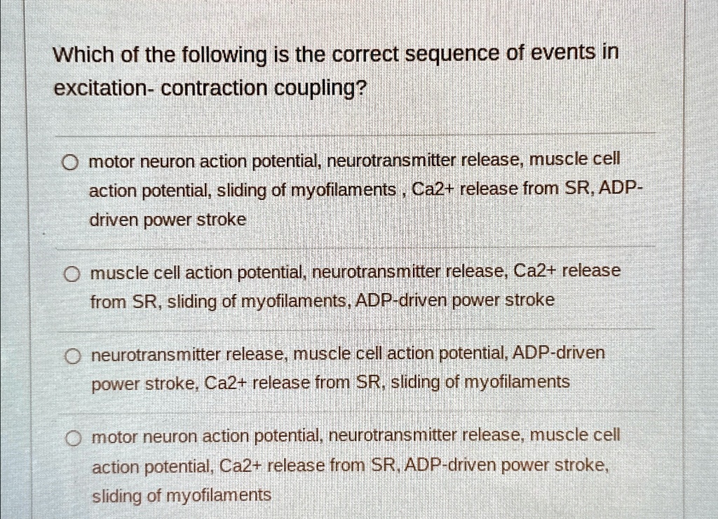 which of the following is the correct sequence of events in excitation ...