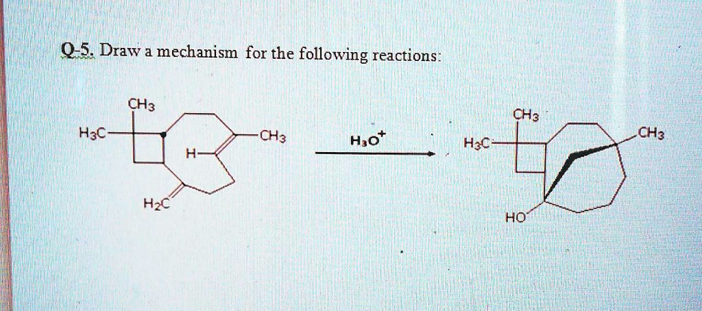 SOLVED: Q5. Draw a mechanism for the following reactions: CH3 CH3 CH3 CH3 CH3 CH3 CH3