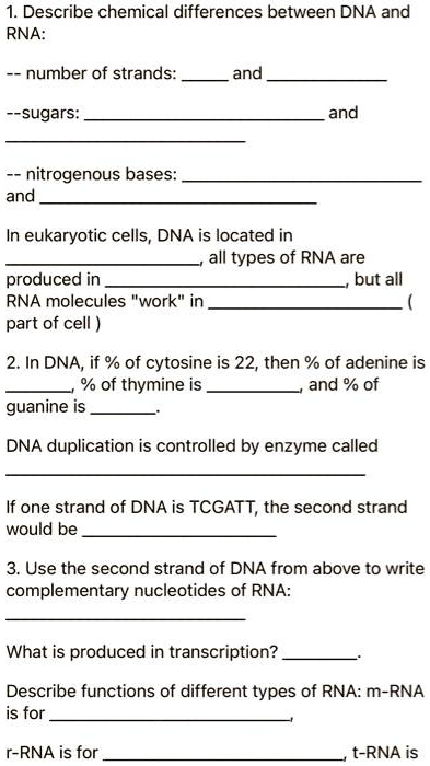 SOLVED: Describe the chemical differences between DNA and RNA: - The ...