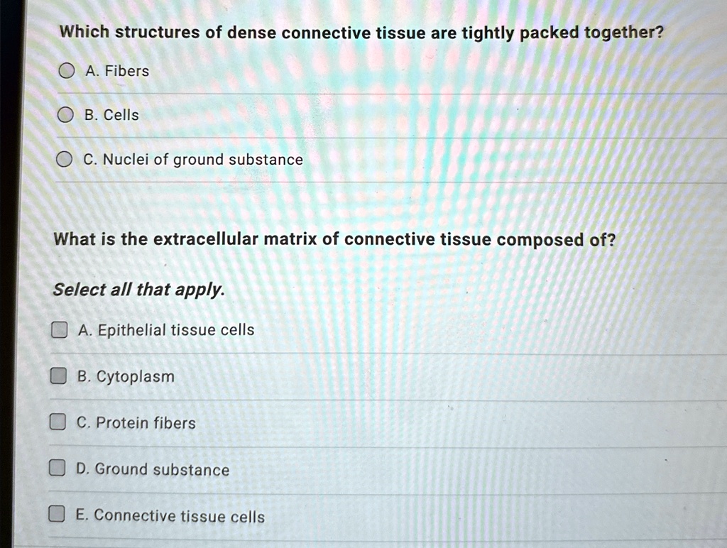 Which structures of dense connective tissue are tightly packed together ...